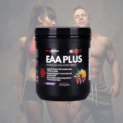 Max Muscle | Premium Supplements & Fitness Guidance – Sports Nutrition ...